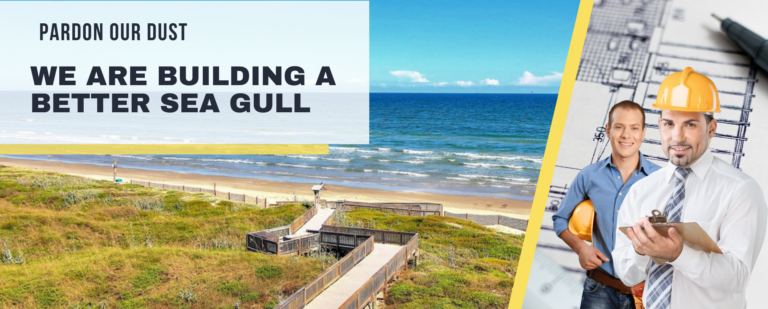 Pardon Our Dust! - Seagull